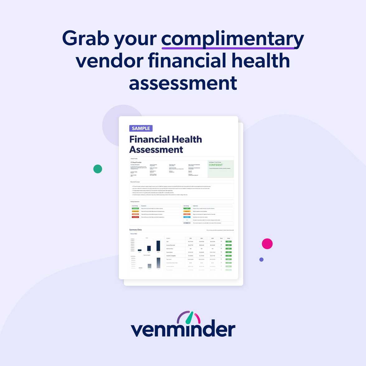 Vendor Financial Health Assessment Sample